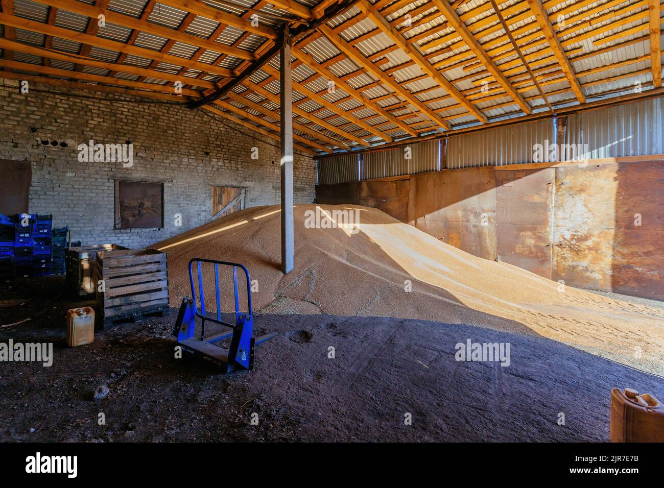 Wheat grain storage in the small warehouse Stock Photo - Alamy