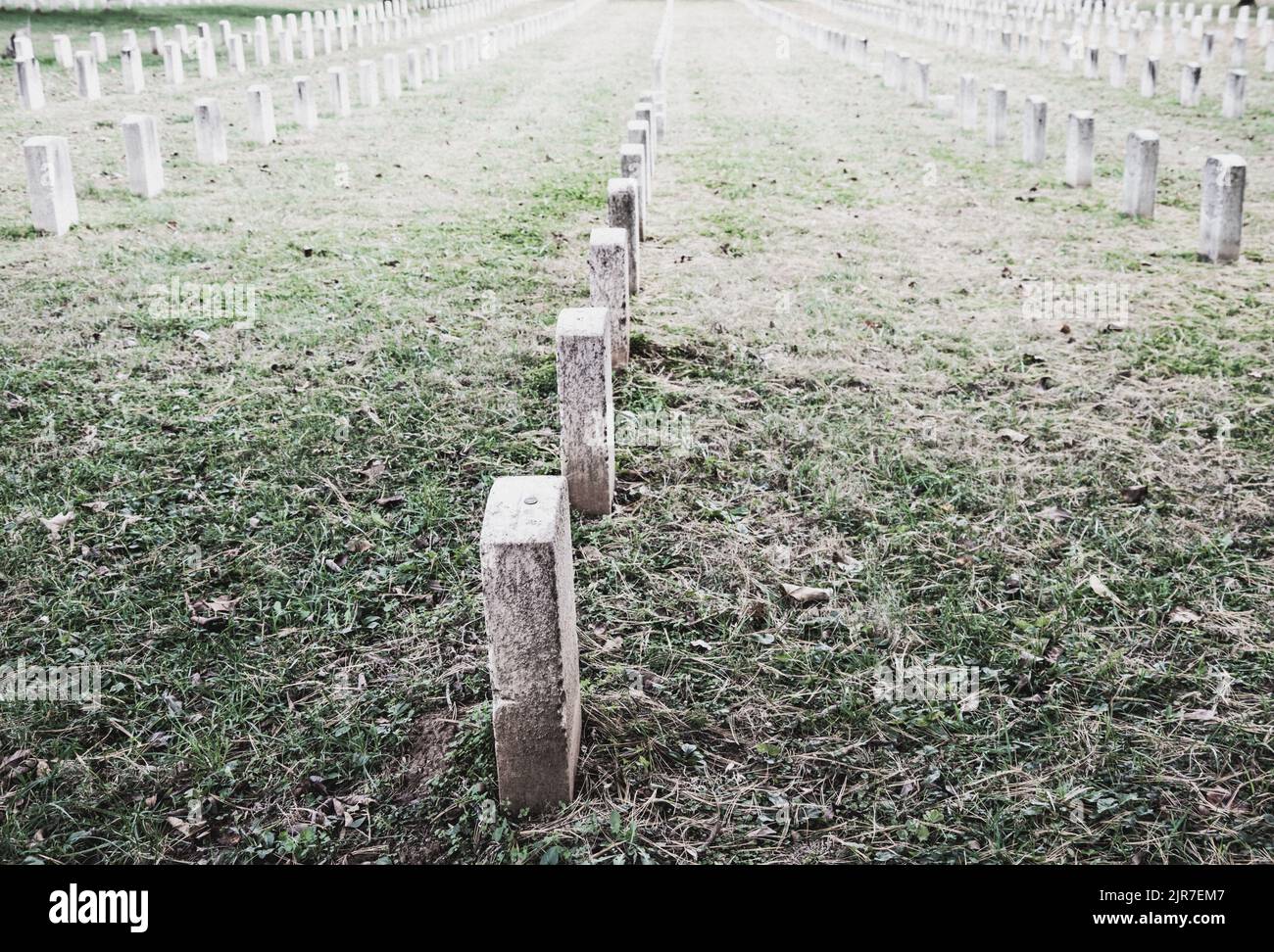 A view of Confederate grave headstones in the Stones River Battlefield ...