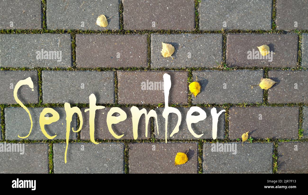 Yellow and white inscription September on background of gray brick road ...