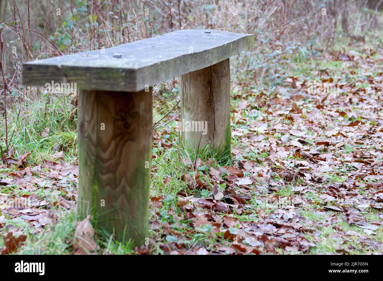 Wooden Seat Blashford Lakes Nature Reserve, Blashford, England Stock ...