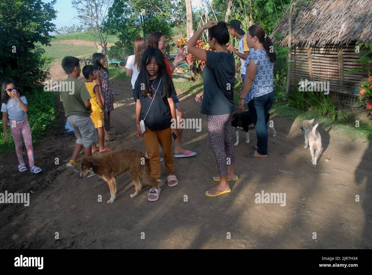 Family gathering on sugar cane plantation, Cadiz City, Negros ...
