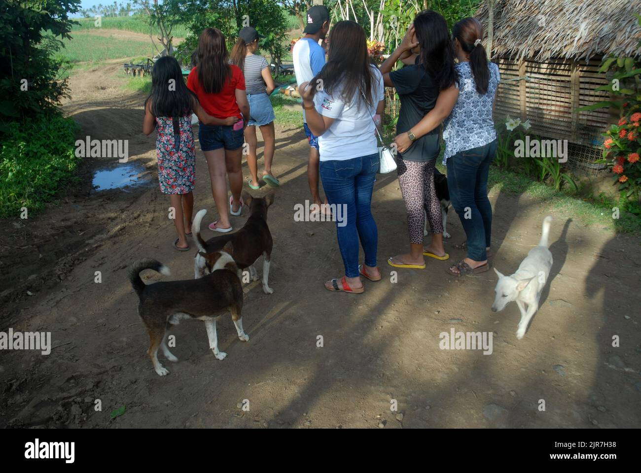 Family gathering on sugar cane plantation, Cadiz City, Negros ...
