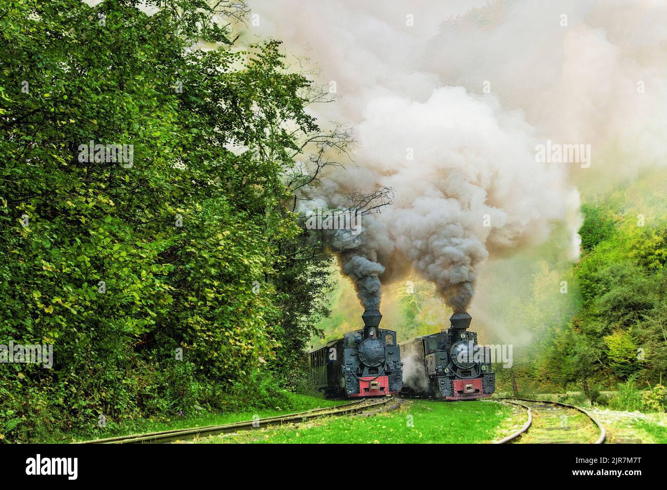 Two steam locomotives racing in the Vaser Valley, Mocanita Maramures ...