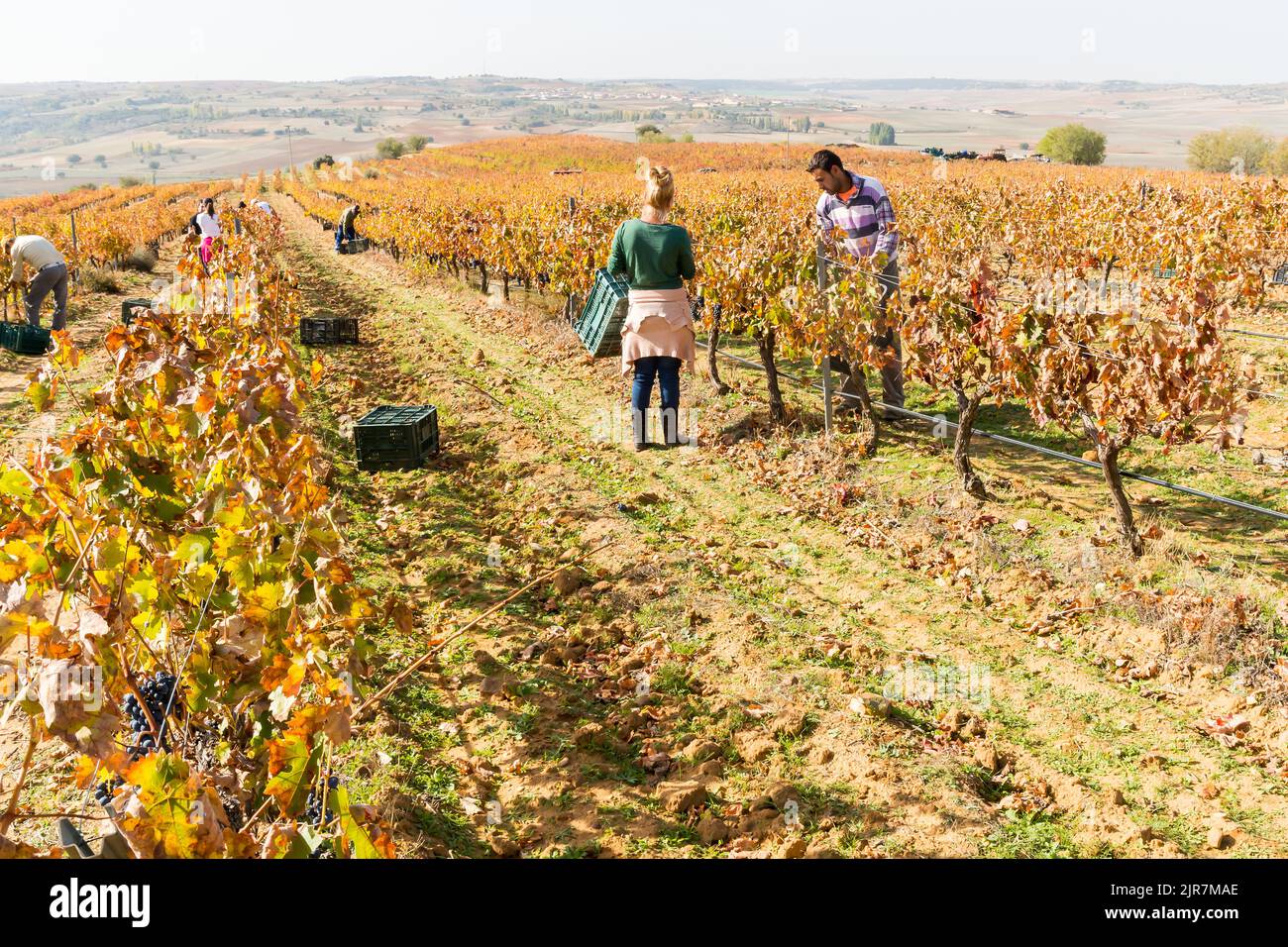 Crop from behind woman hi-res stock photography and images - Alamy