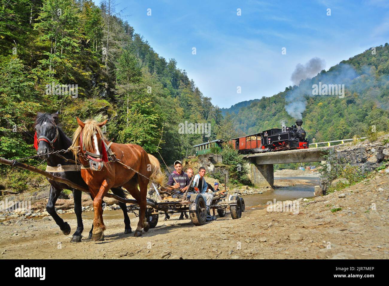 Two horses with carriage and a steam locomotive in the background in ...