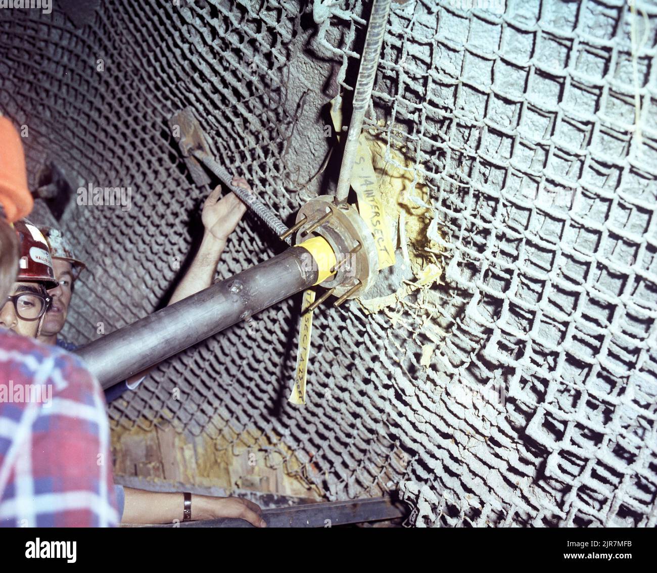 Sting wire hi-res stock photography and images - Alamy