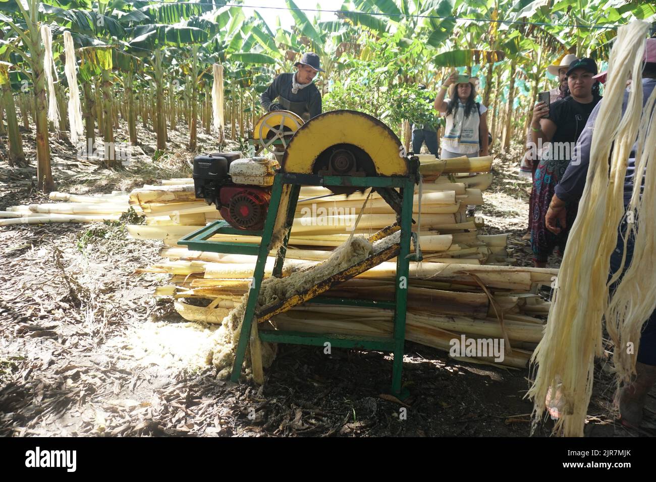 Cabuyaro, Colombia. 18th Sep, 2022. A man in Cabuyaro, Meta works in ...
