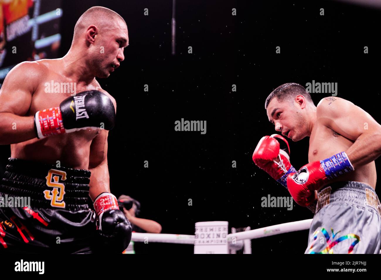 Professional boxer IBF Light-welterweight Sergey Lipinets defeats WBC ...