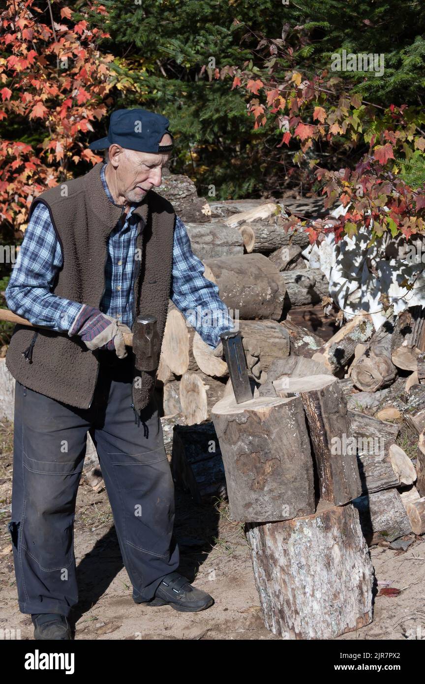 elderly lumberjack in action preparing woods for winter Stock Photo - Alamy
