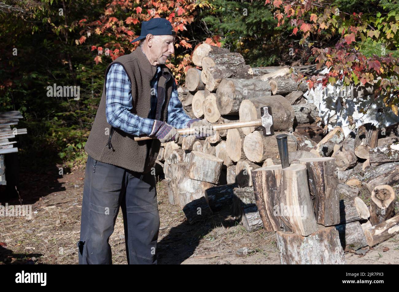 elderly lumberjack cutting woods for the Winter Stock Photo - Alamy
