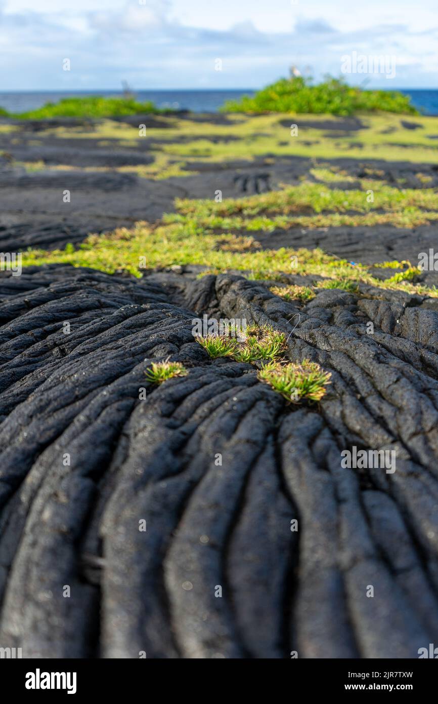 A vertical closeup of coal texture after the volcano eruption covered ...