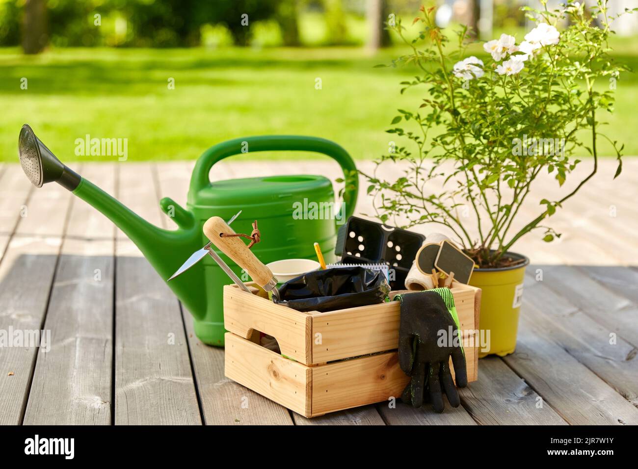 box with garden tools and watering can in summer Stock Photo - Alamy