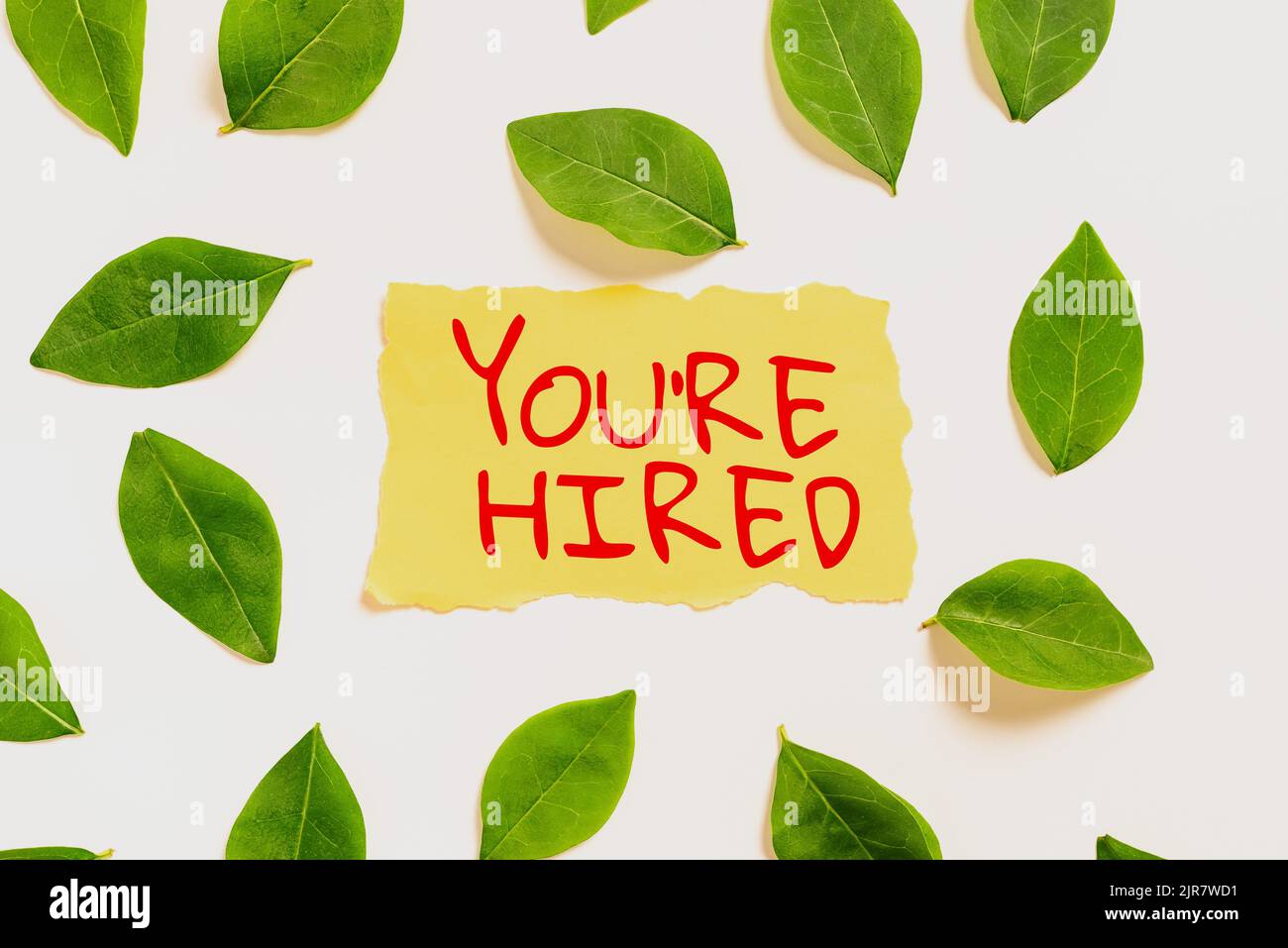Sign displaying You Re Are Hired, Word for New Job Employed Newbie ... Sign displaying You Re Are Hired, Word for New Job Employed Newbie ...