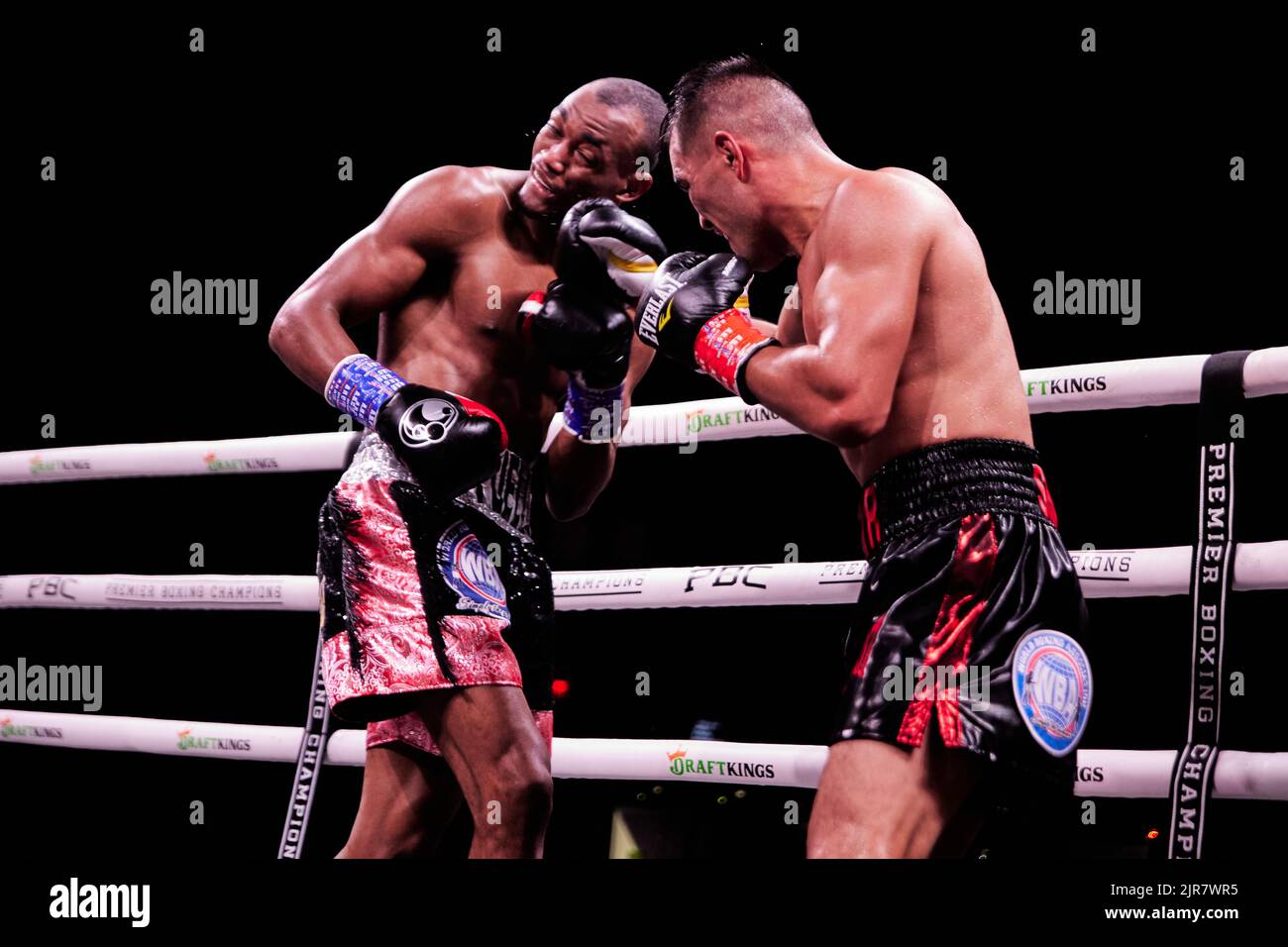 Professional boxer WBA interim super-lightweight Alberto Puello defeats ...