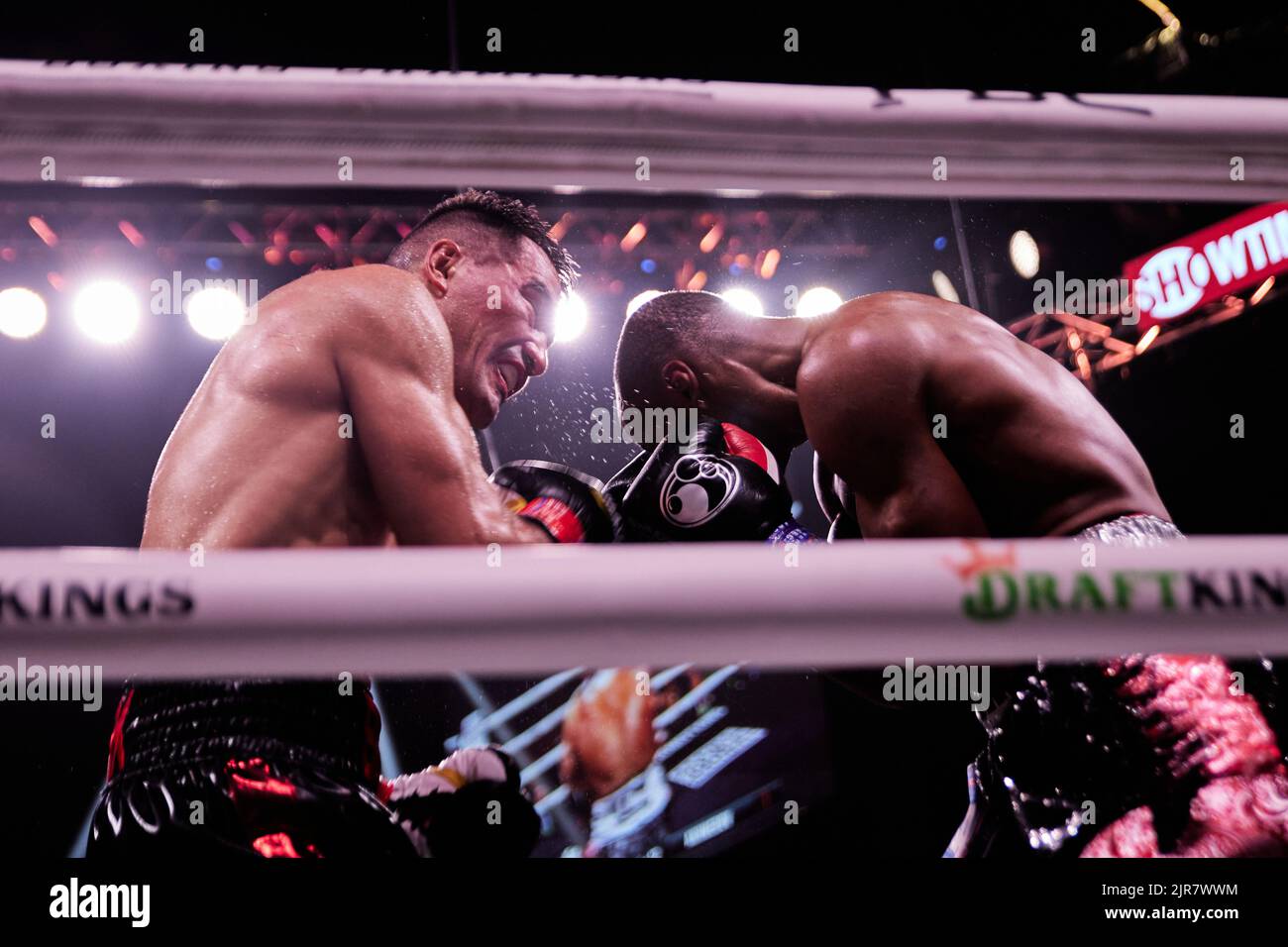 Professional boxer WBA interim super-lightweight Alberto Puello defeats ...