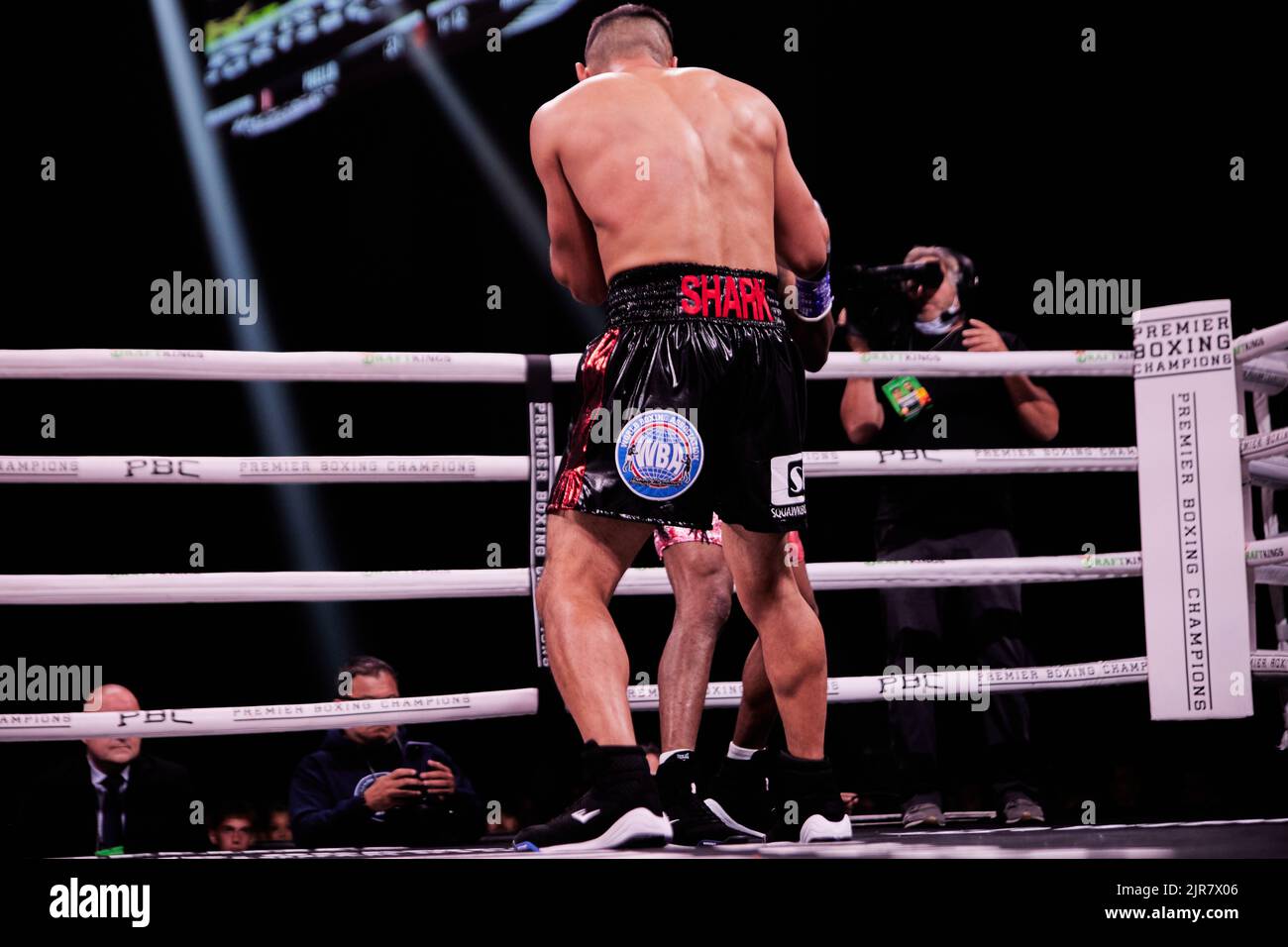 Professional boxer WBA interim super-lightweight Alberto Puello defeats ...