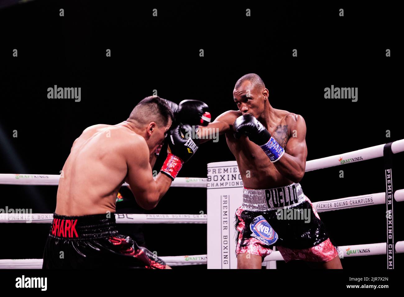 Professional boxer WBA interim super-lightweight Alberto Puello defeats ...