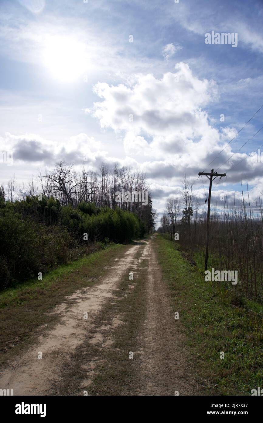 Environment biology hi-res stock photography and images - Alamy