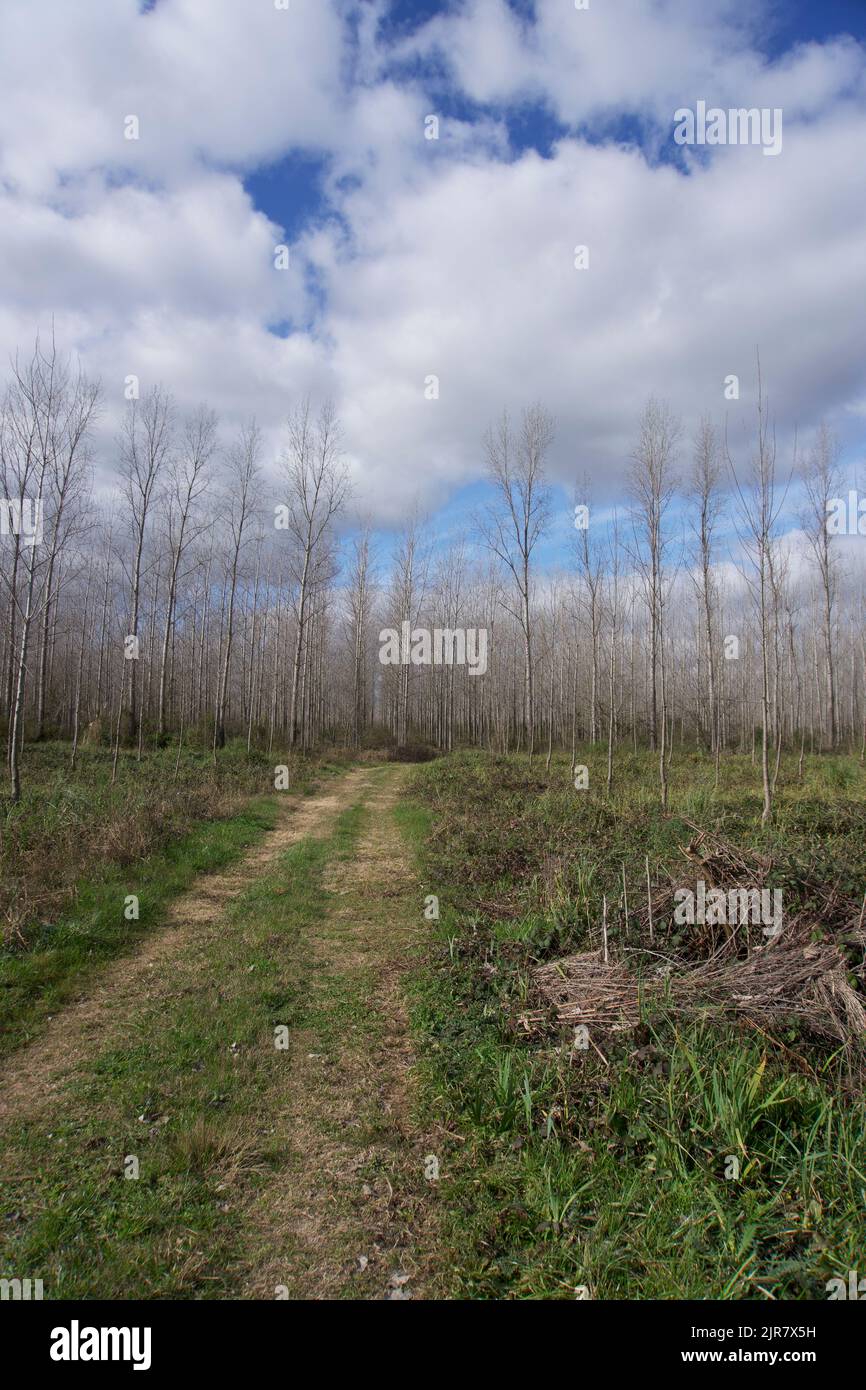 Oxygen free environment hi-res stock photography and images - Alamy