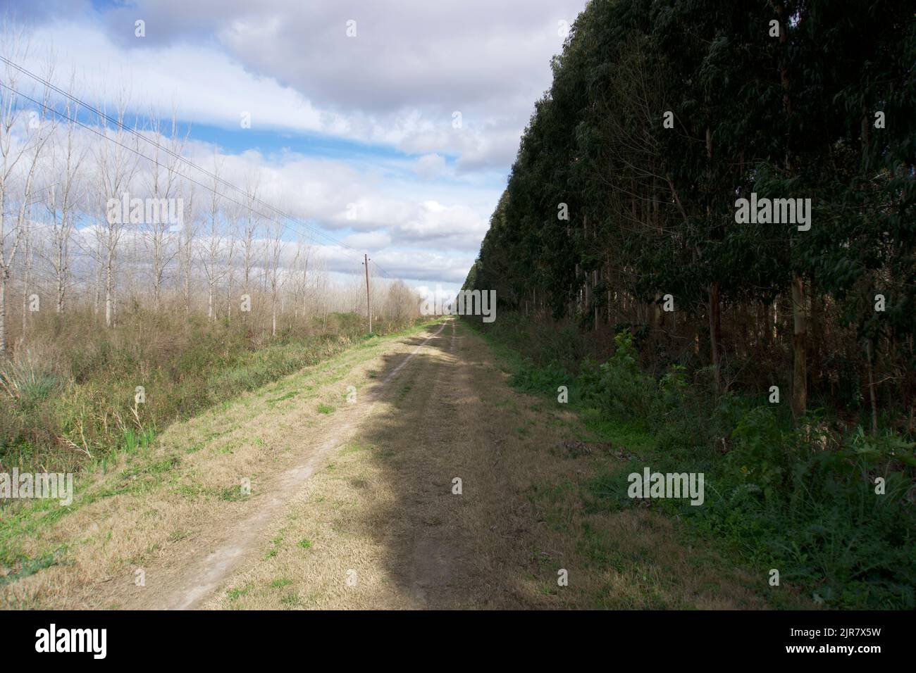 Oxygen free environment hi-res stock photography and images - Alamy