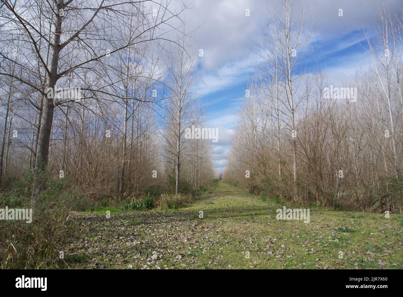 Unpolluted environment hi-res stock photography and images - Alamy