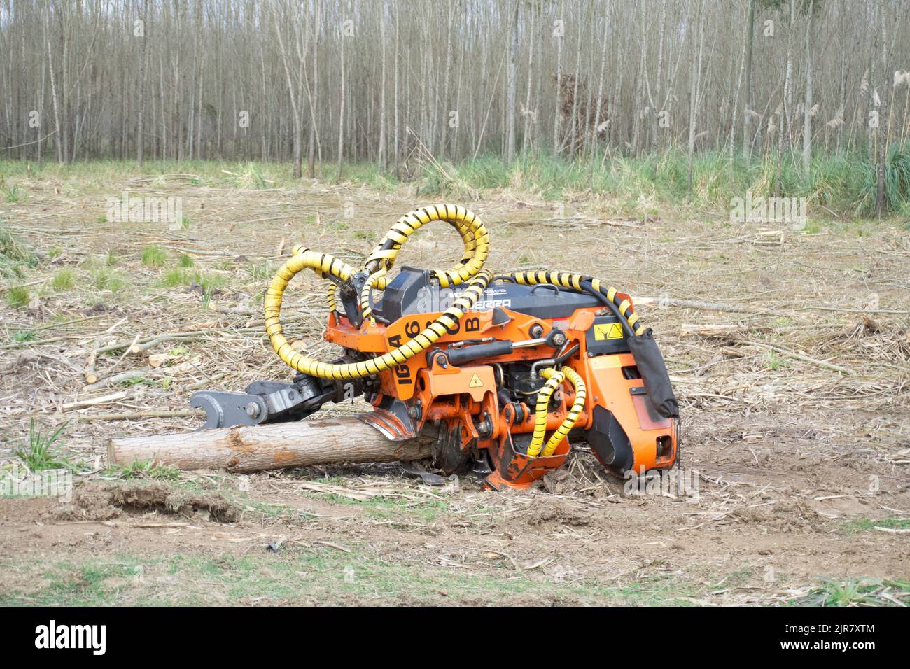 Wood log cutting machine Stock Photo - Alamy