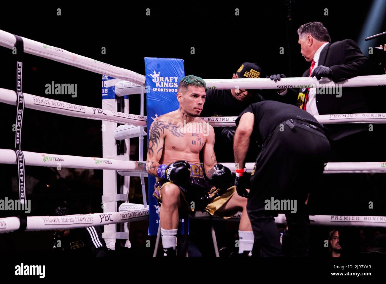Professional boxer 2016 Summer Olympics Hector Garcia defeats WBA Super ...