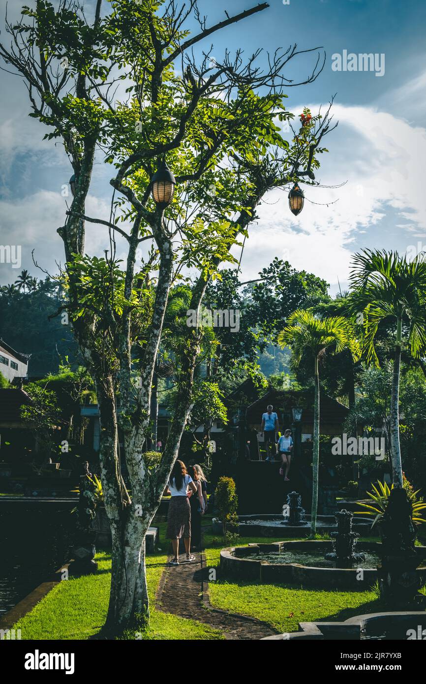 The tourists in a Brilliant place in Ubud, Bali with lots of nature and ...