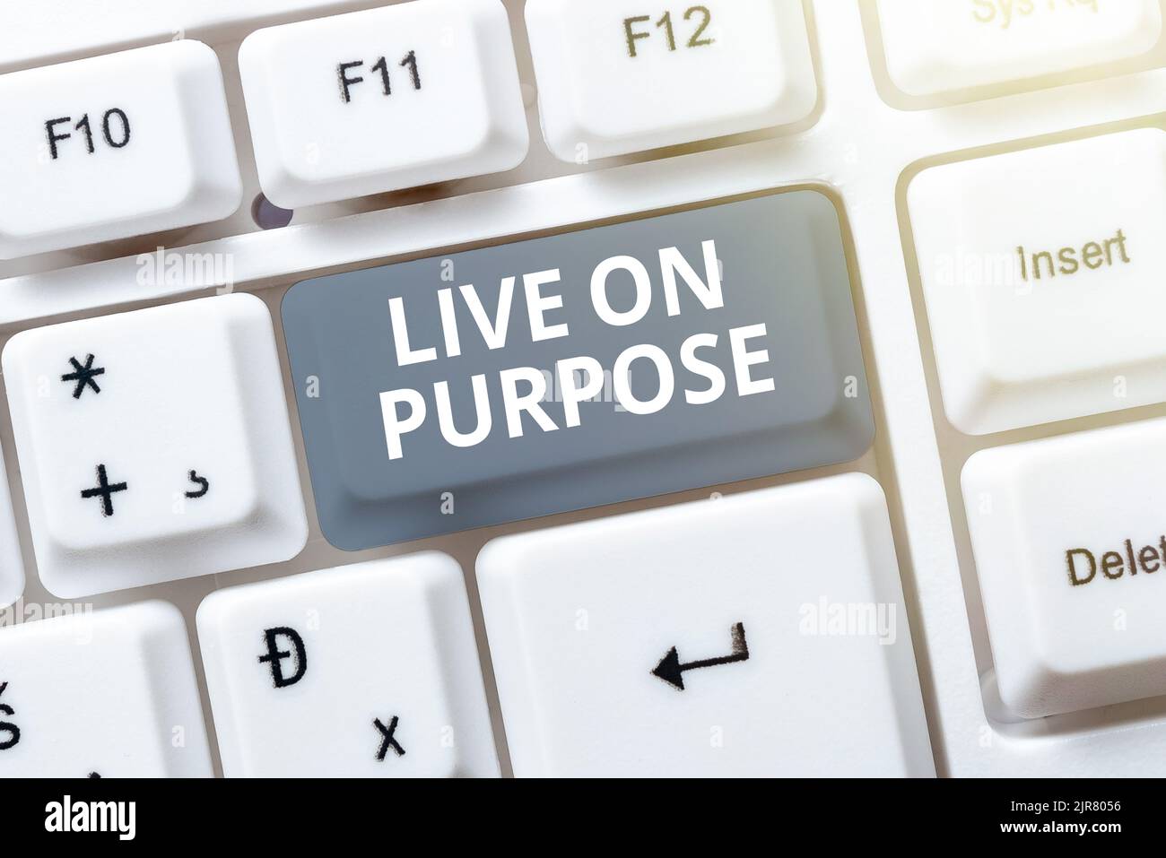 Text caption presenting Live On Purpose, Business overview Have a goal ...