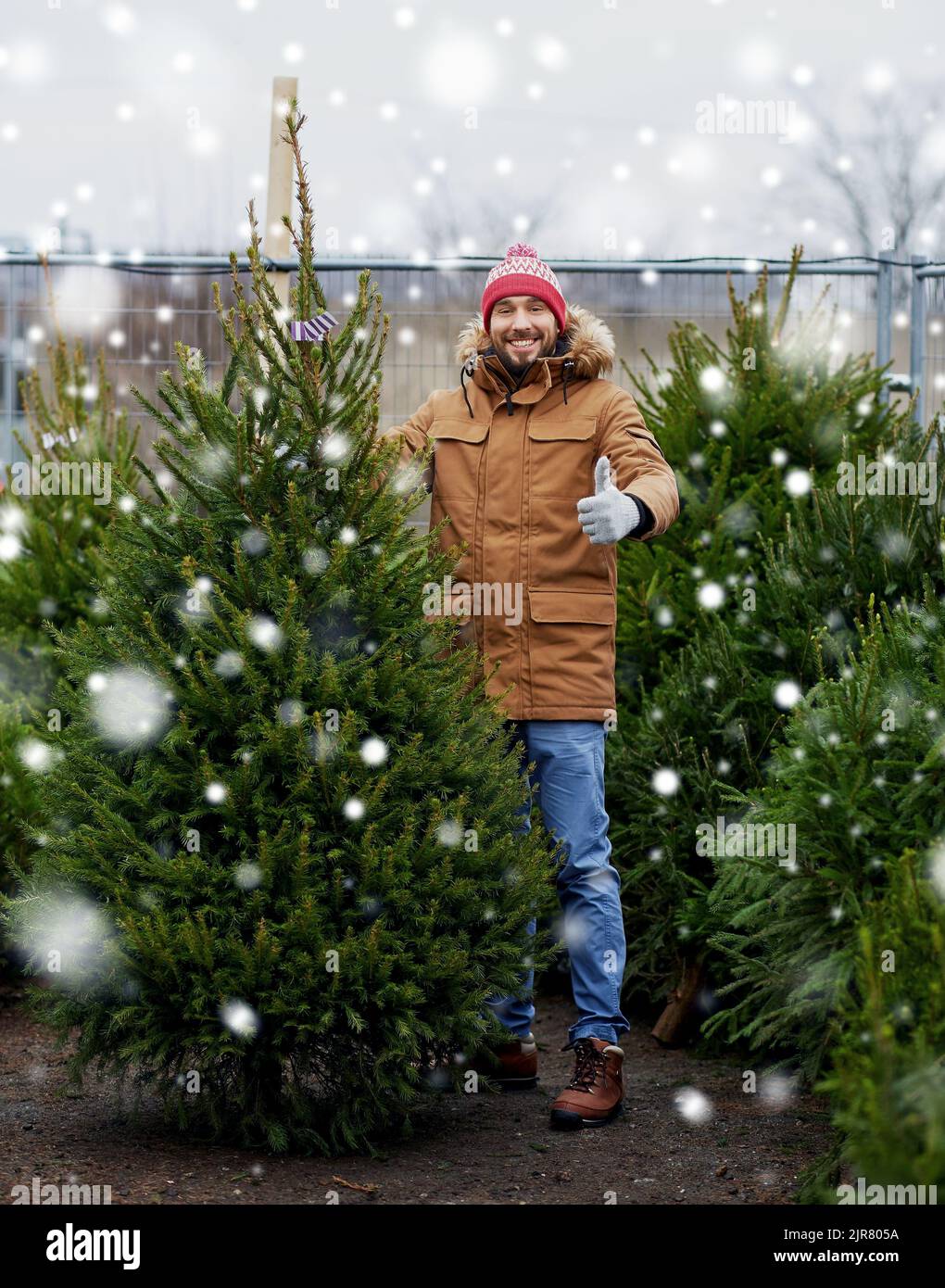 Tree like man hi-res stock photography and images - Alamy
