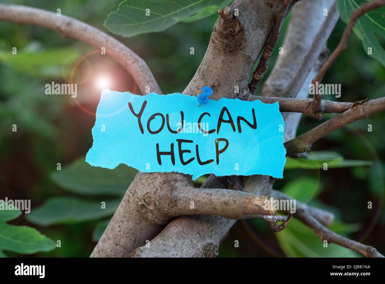 Conceptual display You Can Help. Internet Concept Be a volunteer ...