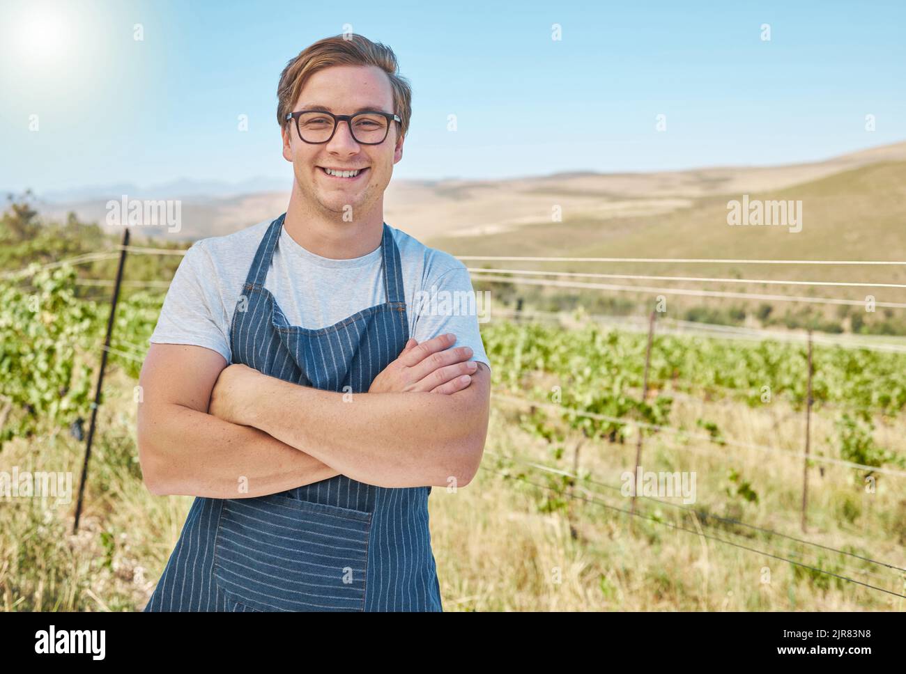 Vineyard and happy farmer man in the countryside with smile at a farm ...