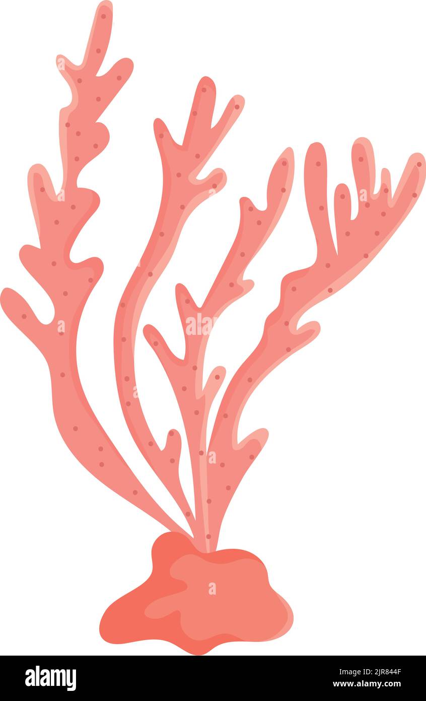 pink coral design Stock Vector Image & Art - Alamy