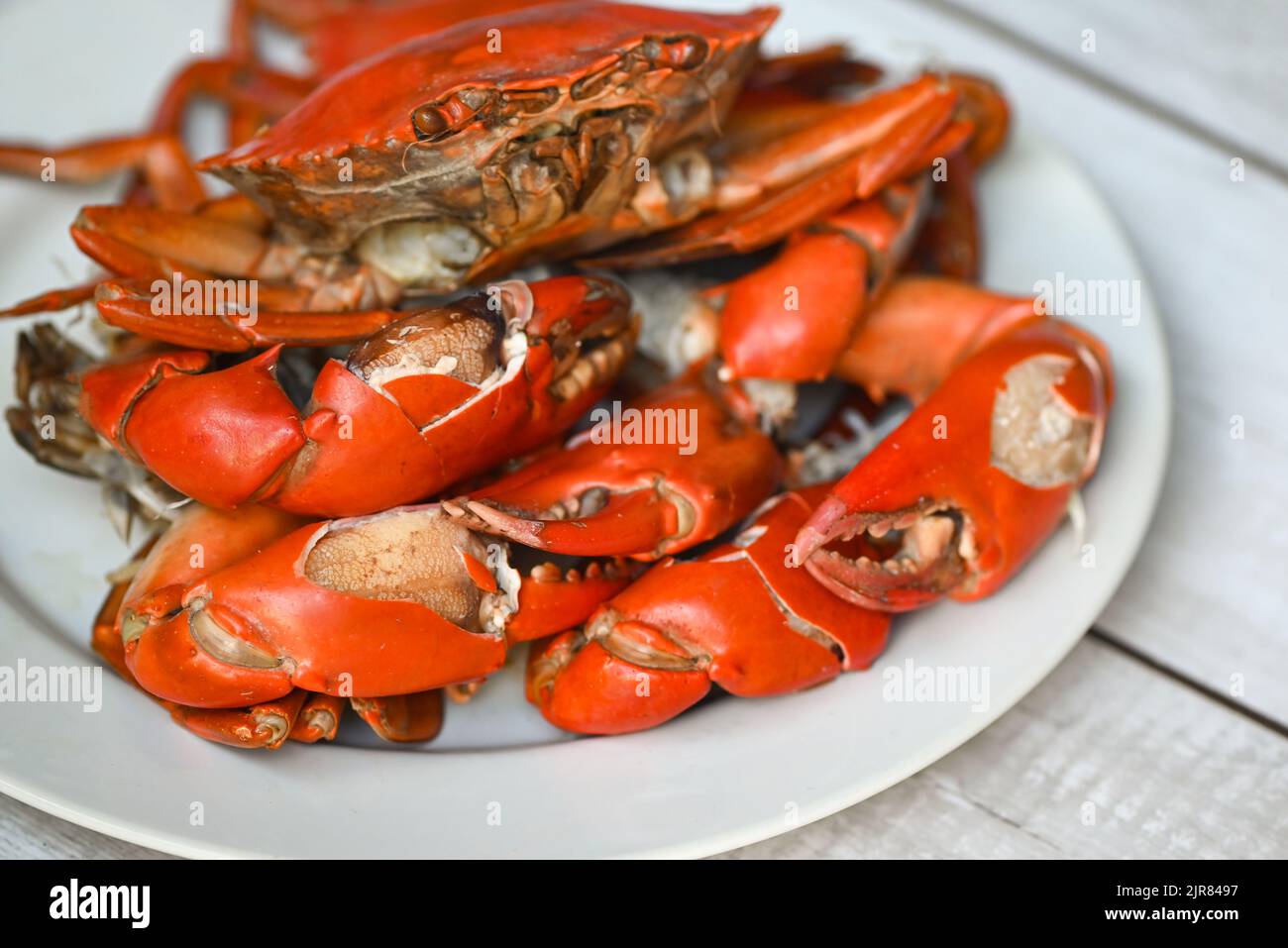 claw crab cooking food seafood plate, fresh crab on white plate boiled ...