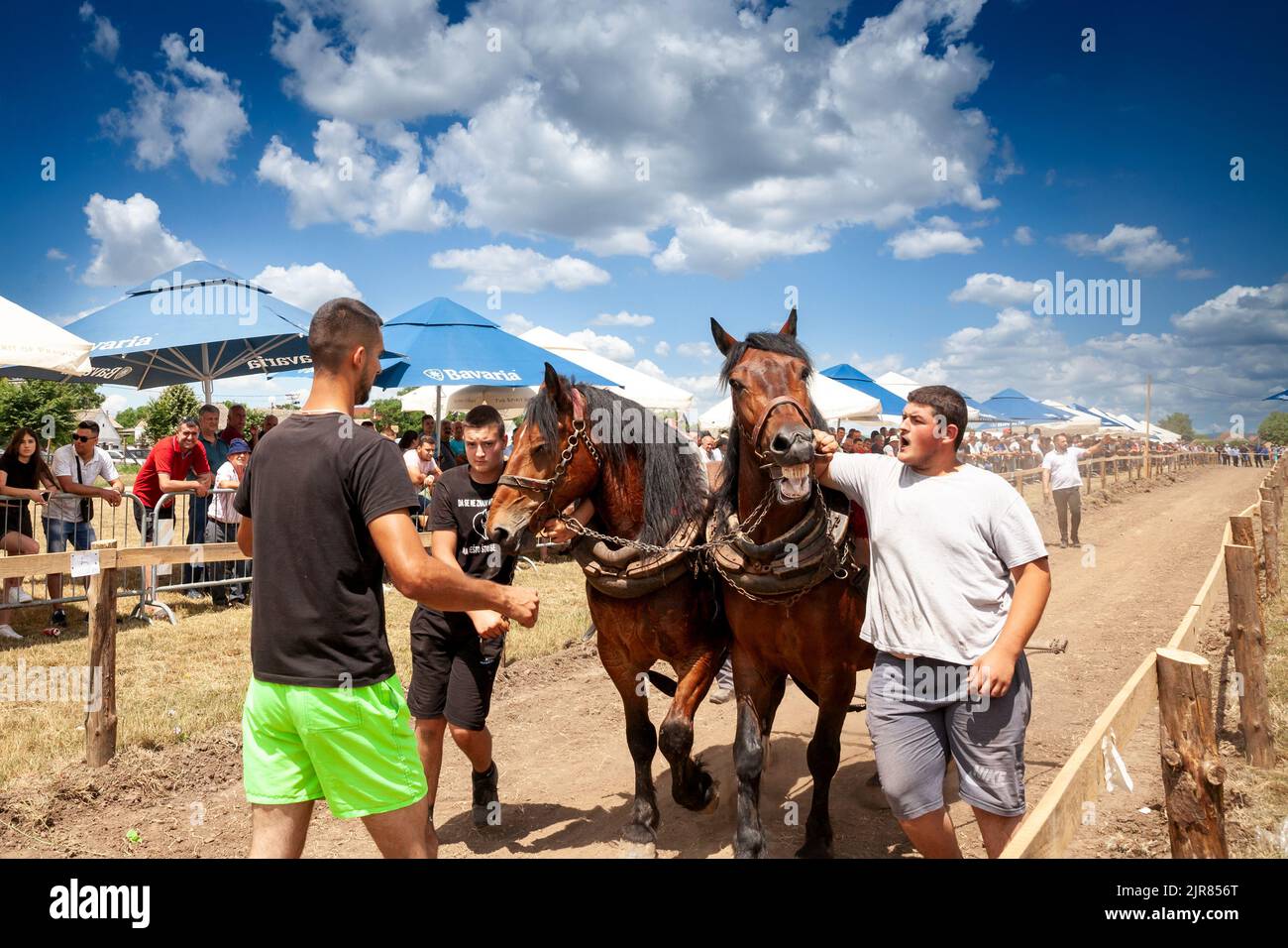 Serbian horsemen hi-res stock photography and images - Alamy
