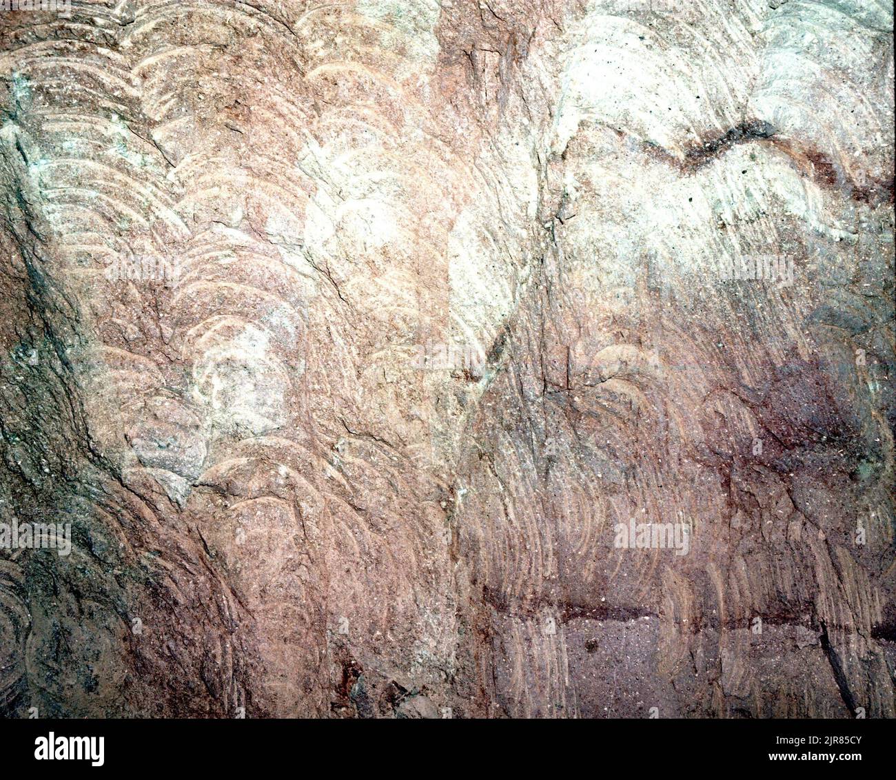 A800422 hi-res stock photography and images - Alamy