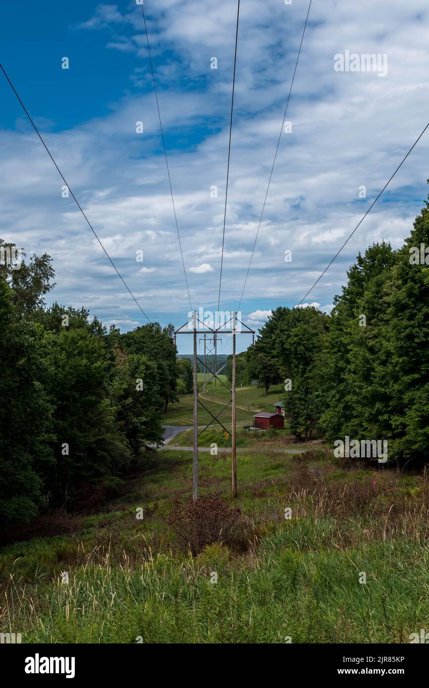 Powerlines through the woods on a strip of land in Warren, Pennsylvania ...