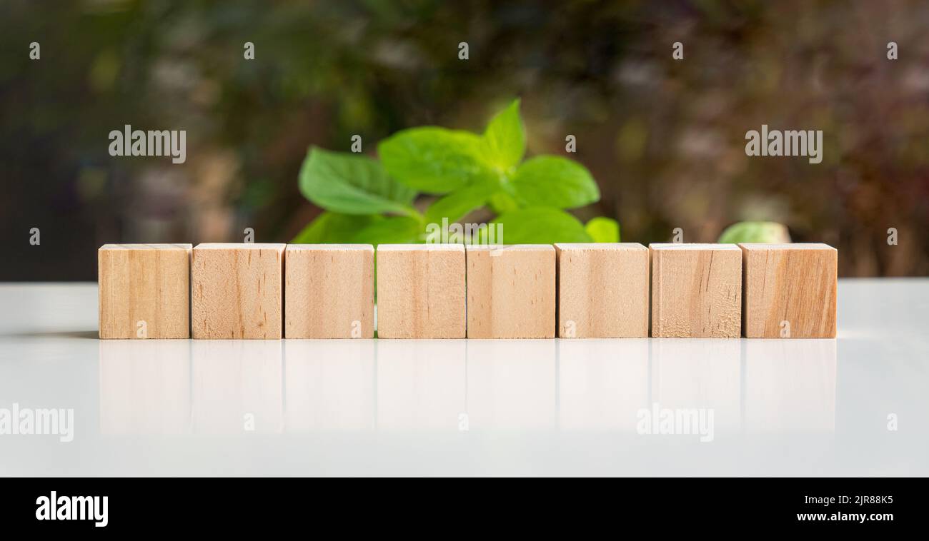 Eight blank wooden block cubes. On nature and green leaf background ...