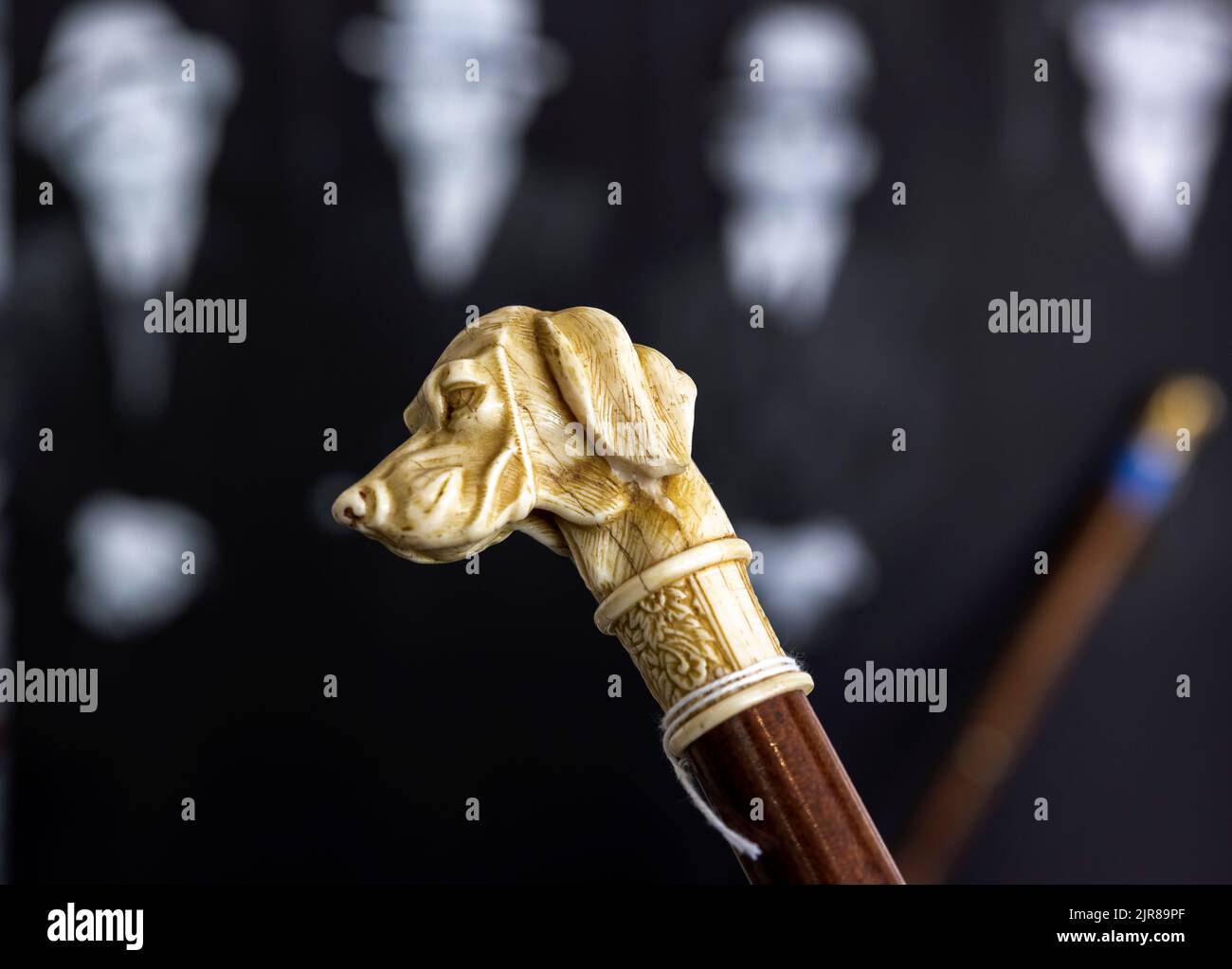 Bone carved dog head cane owned by Joseph Aiuppa. Artifacts from the ...