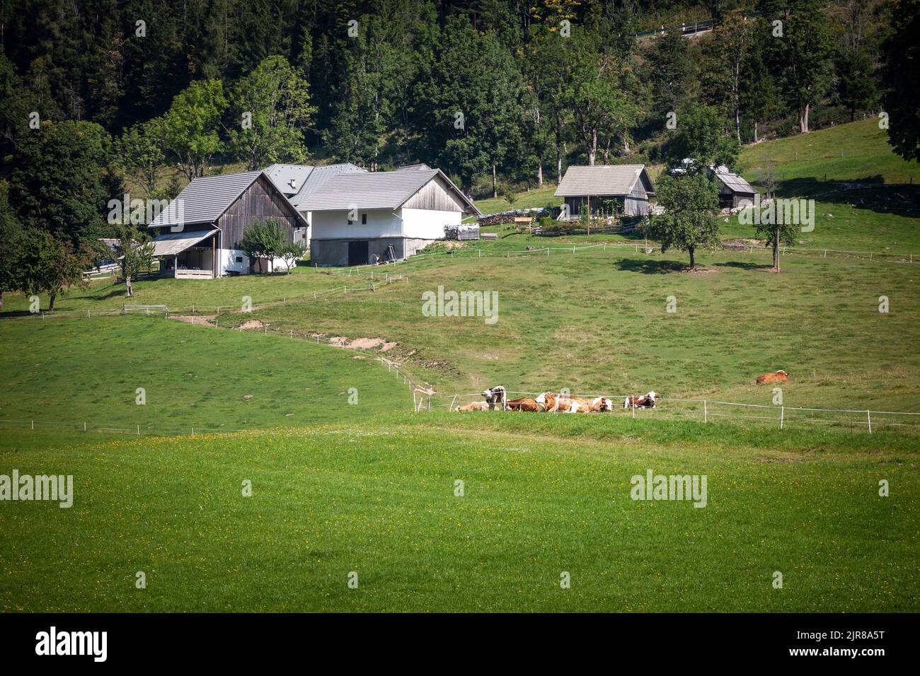 Picture of a wooden barn and farms in front of the Julian alp mountains ...