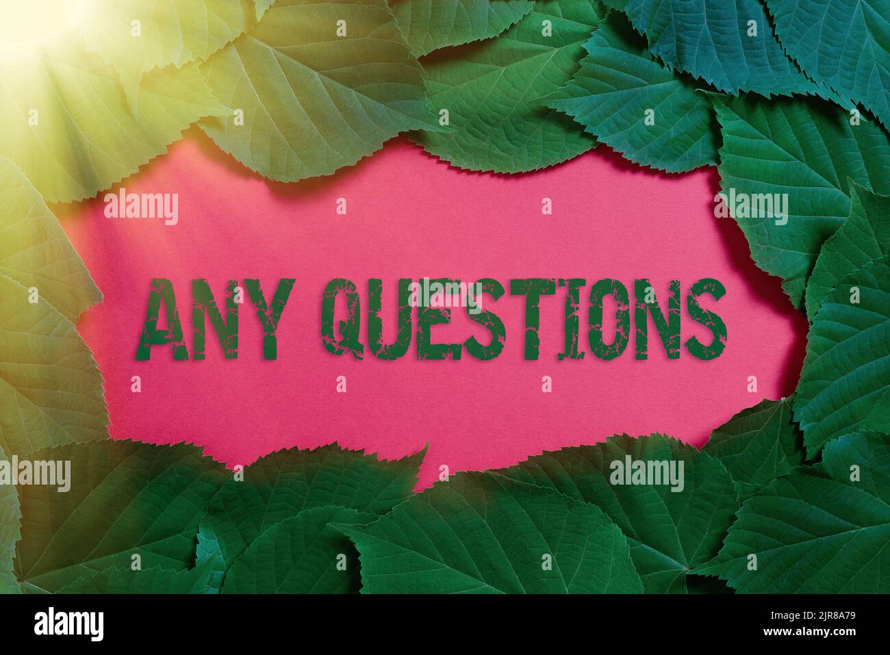 Text caption presenting Any Questions, Concept meaning Clueless Blank ...