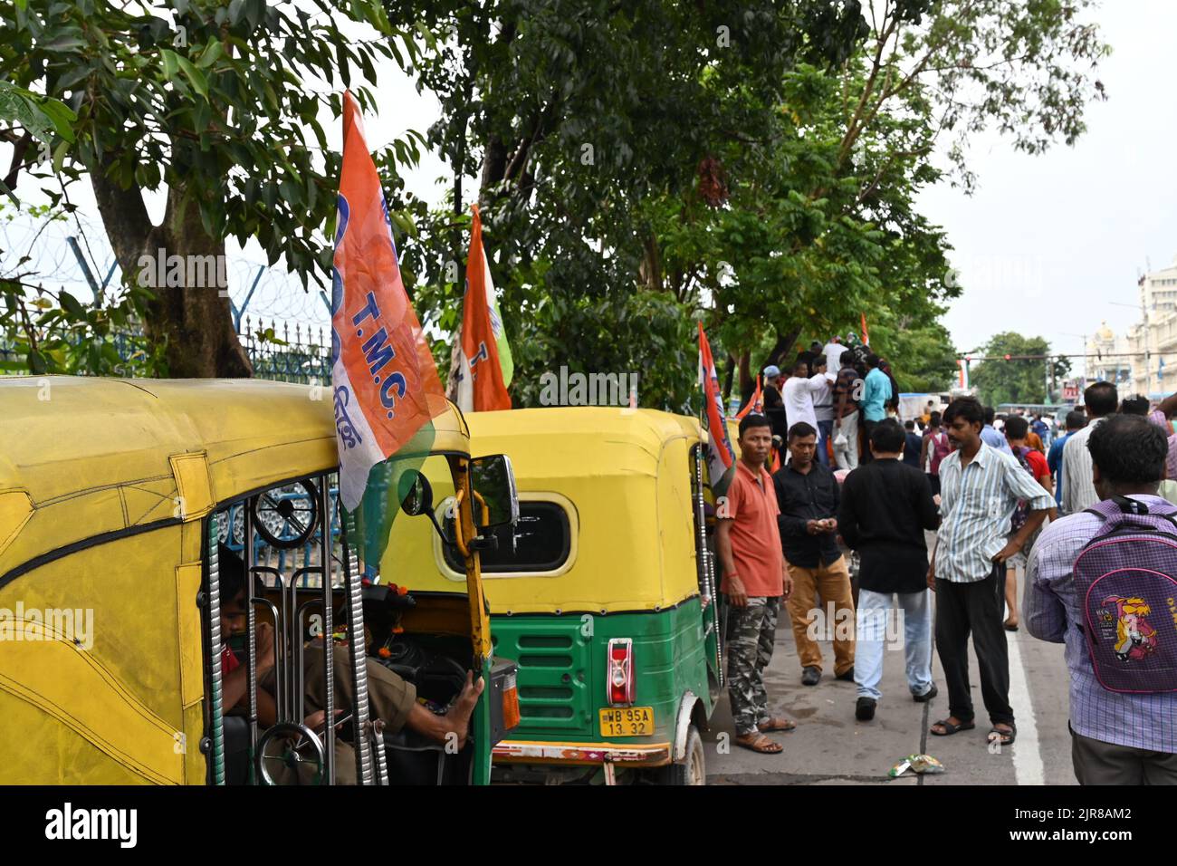 Tmc party flag hi-res stock photography and images - Alamy