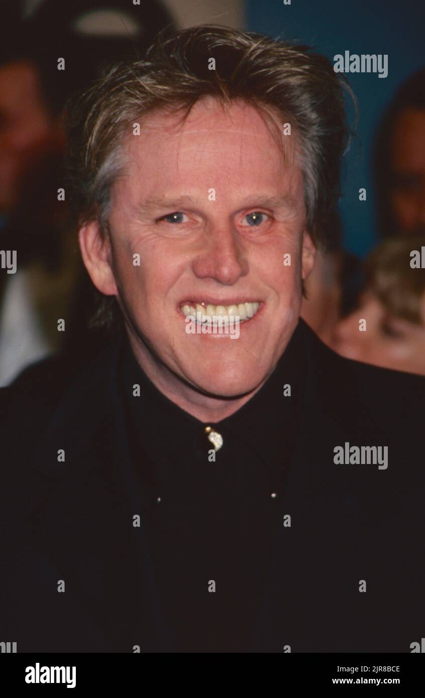 Gary Busey attends the InStyle and Warner Bros. Golden Globe After ...