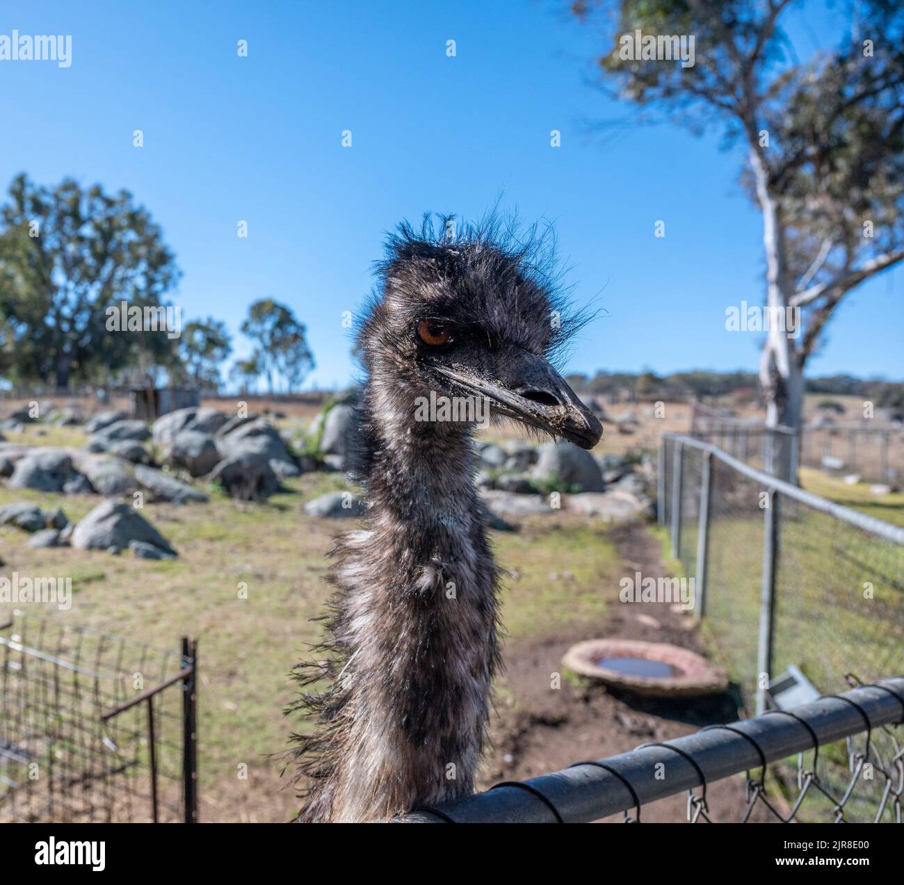 Tingha new south wales hi-res stock photography and images - Alamy