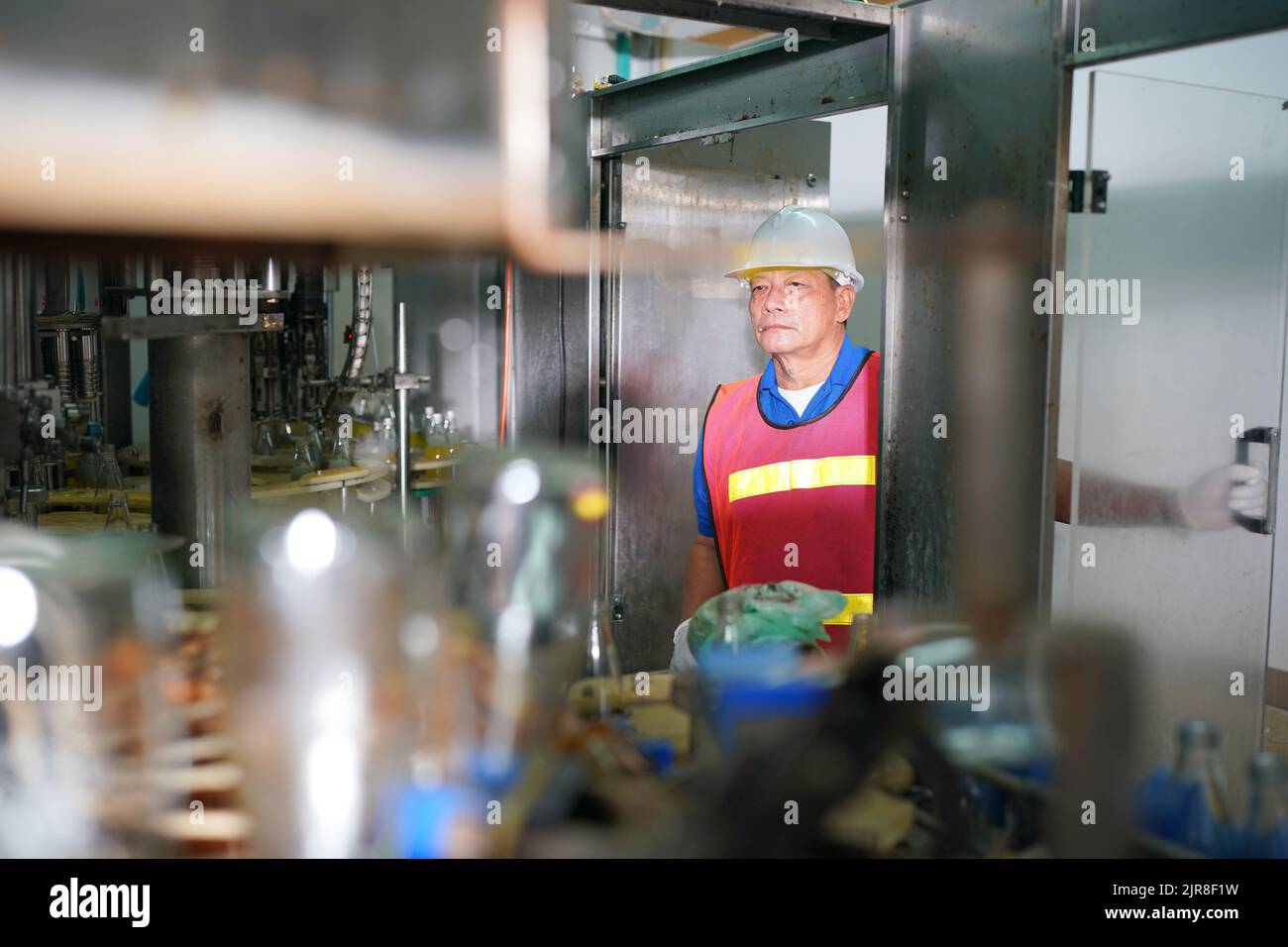 Asian worker labor working in food and beverage for drink industry ...