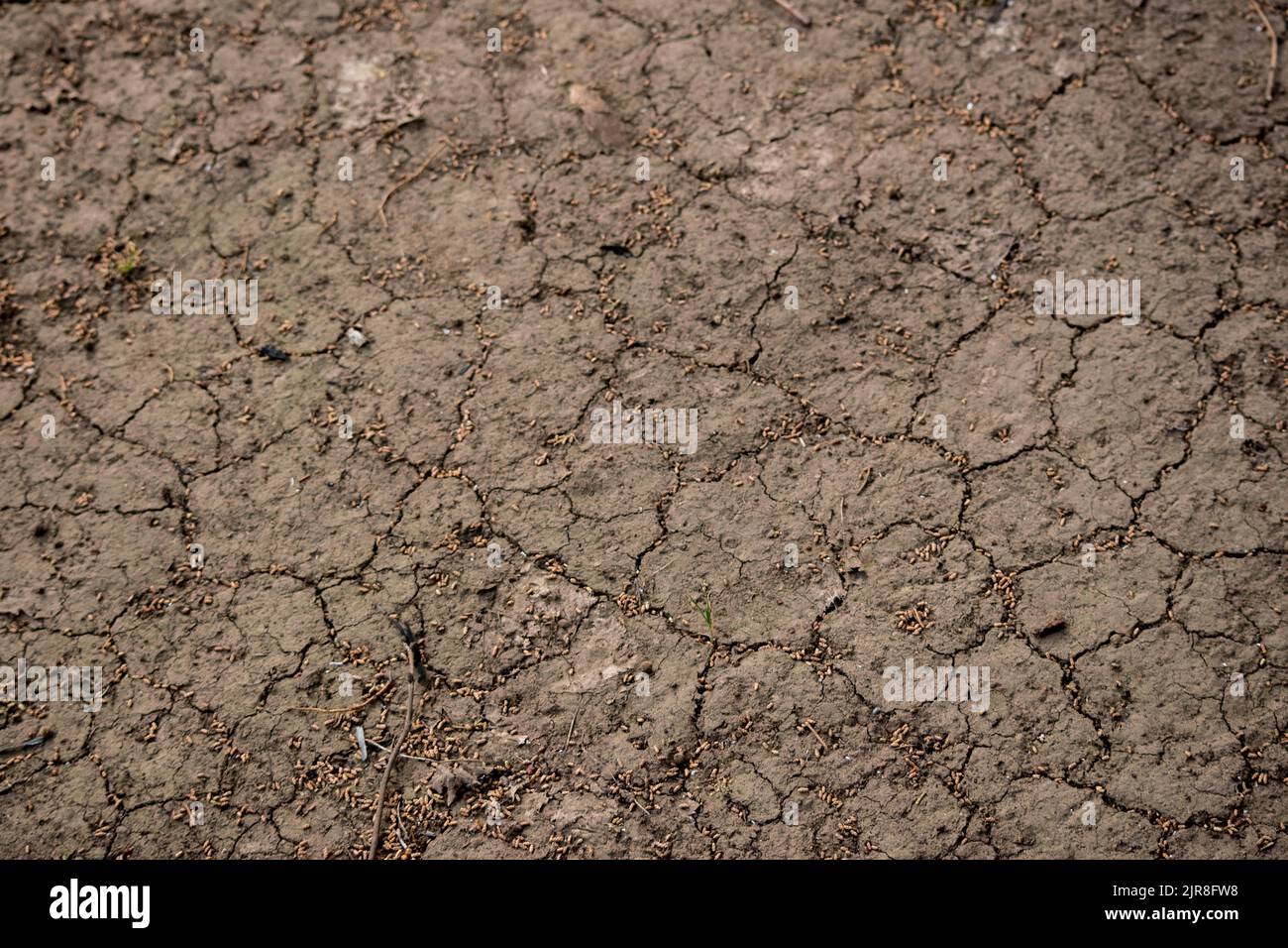 soil in dry season. Nature background Stock Photo - Alamy