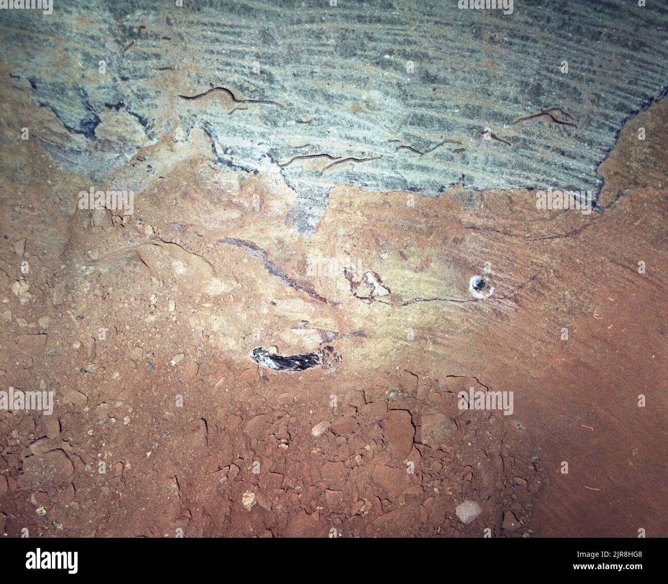 Charles gulick hi-res stock photography and images - Alamy