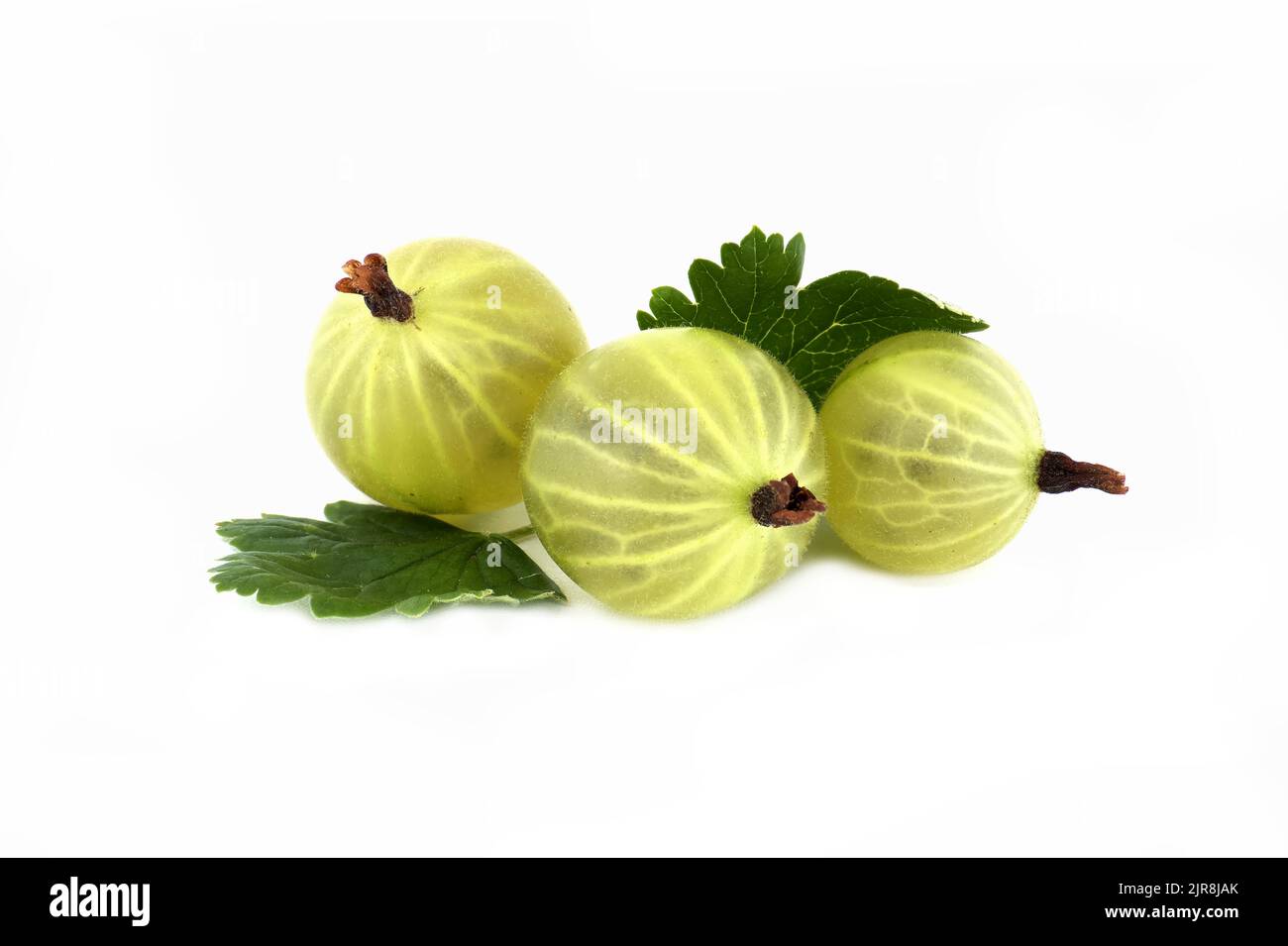 Heap of green ripe gooseberry with leaf isolated on white background ...