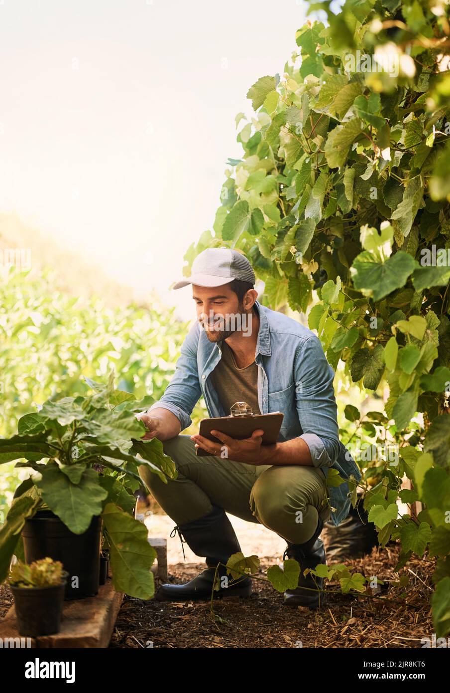 Doing a little quality control. a happy young farmer examining the ...