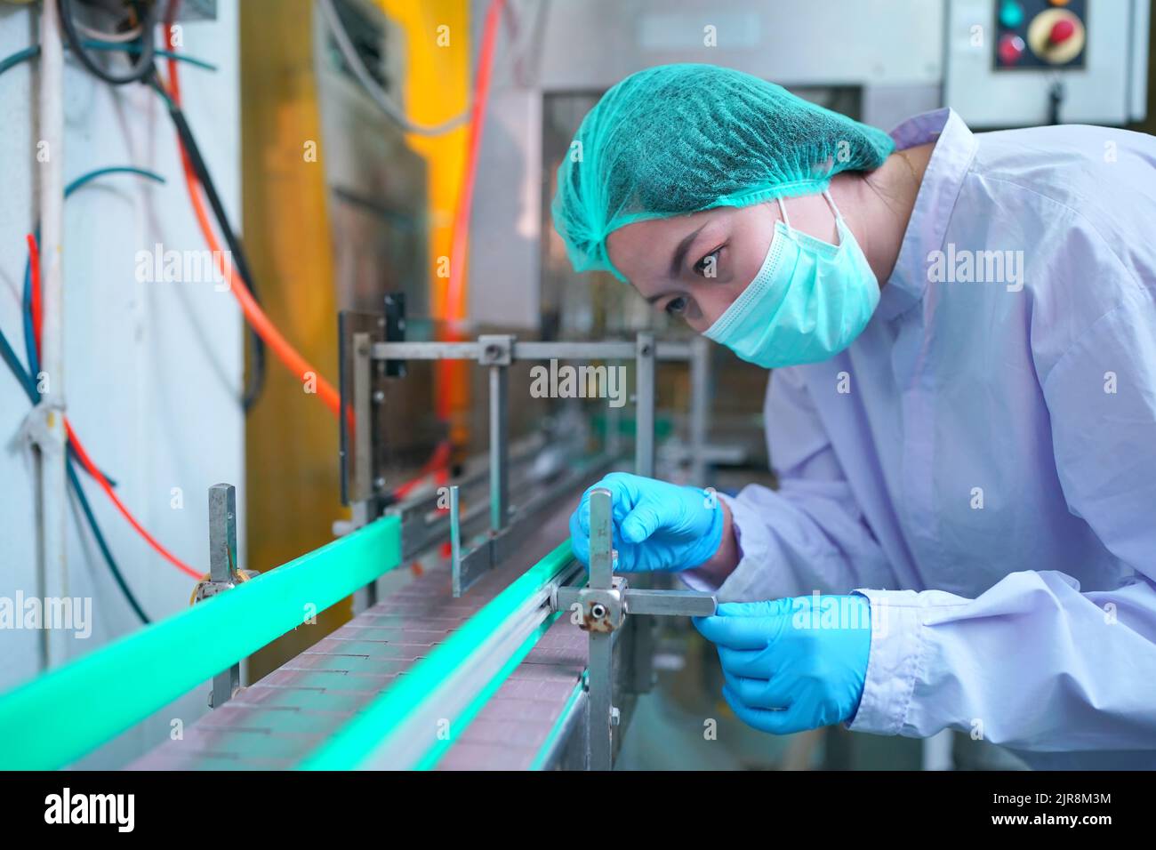 Asian worker labor working in food and beverage for drink industry ...